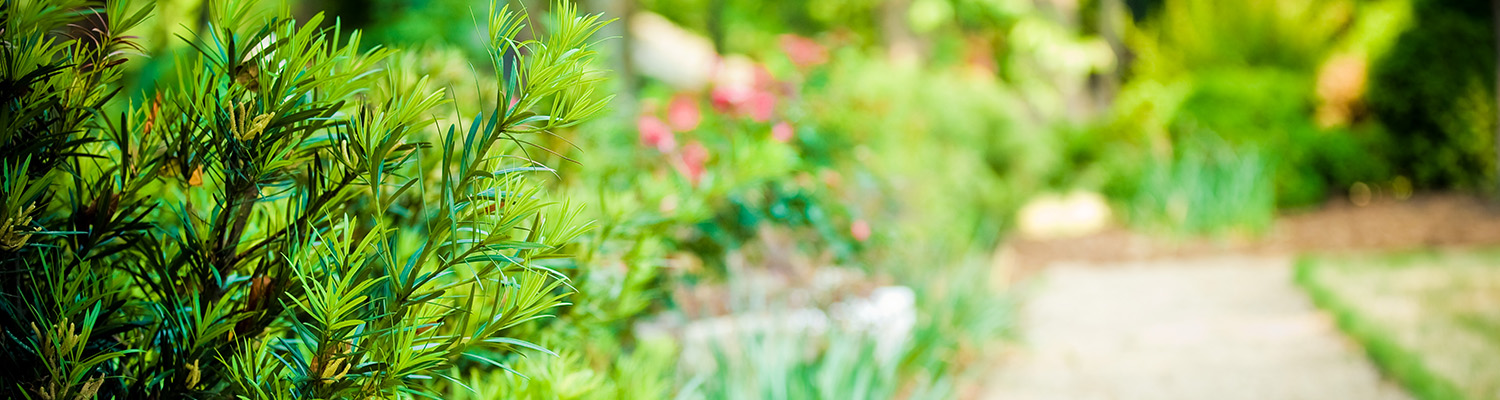 Membership - Historic Rosedale